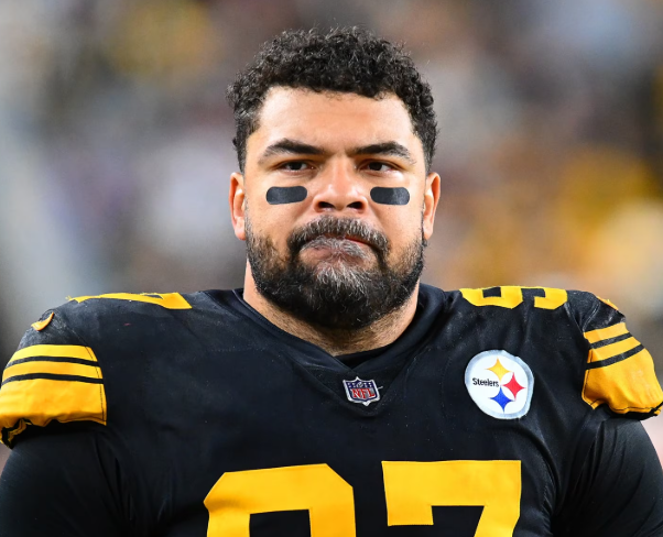 Cam Heyward Speaks Out After Being Criticized for His Clash With Josh ...