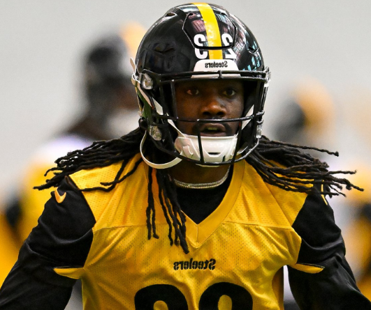 Just 3 Hours After Steelers Waive Him for DK Metcalf, Veteran CB Vows ...